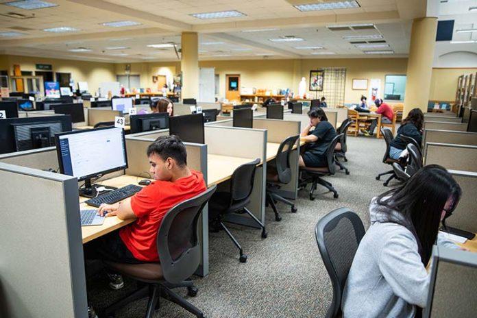 TCC closes WebAdvisor, shut down impacts staff – The Collegian